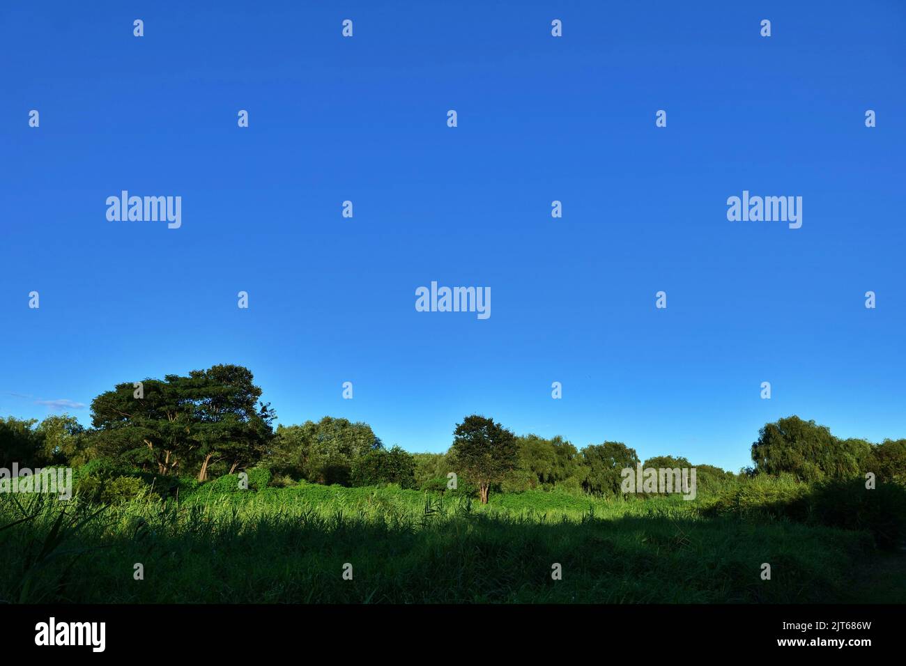 Go out on a clear day Stock Photo - Alamy