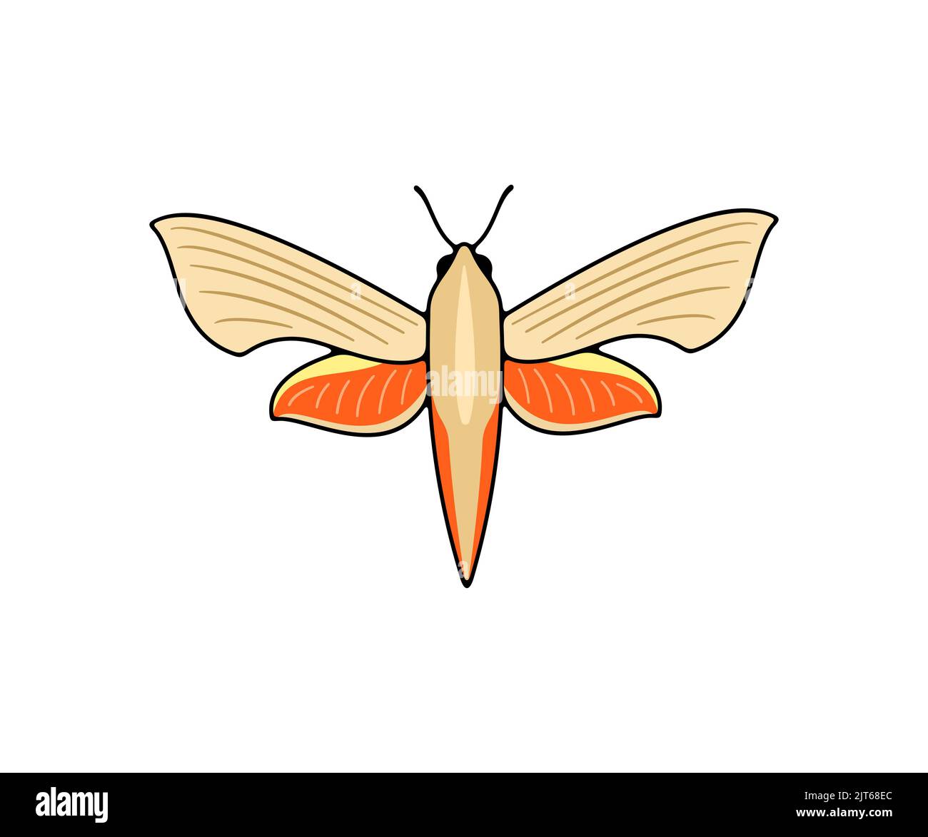 Orange nocturnal moth, butterfly and moth, logo design. Flying insects ...