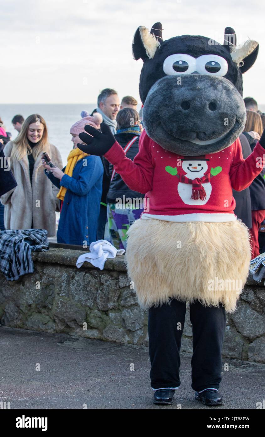 Charity mascot hi-res stock photography and images - Alamy