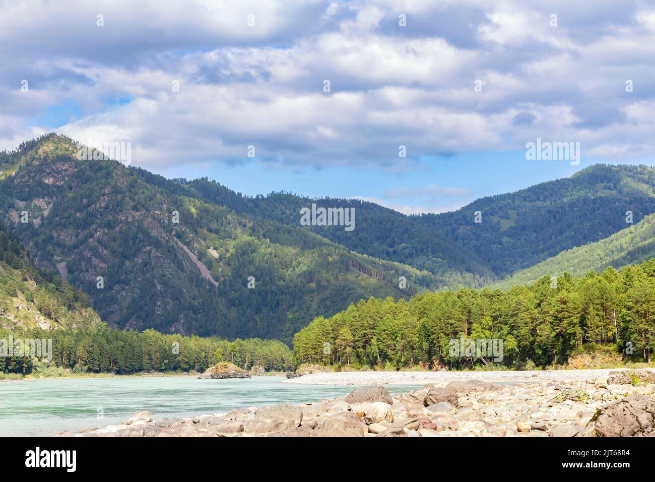 Brightly lit pebble beach, mountain river Katun, forest, Altai ...
