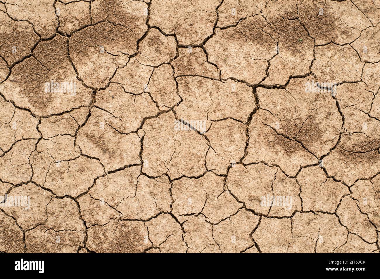 Cracked clay ground into the dry season Stock Photo - Alamy