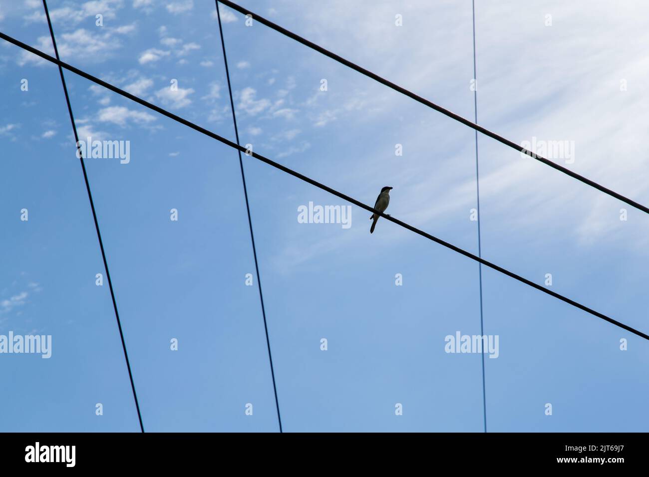 Blue sky and clouds with electric cables Stock Photo - Alamy