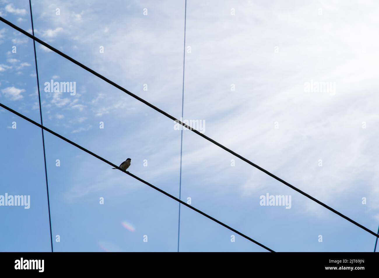Blue sky and clouds with electric cables Stock Photo - Alamy