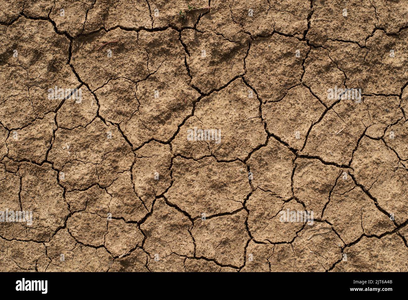 Cracked clay ground into the dry season Stock Photo - Alamy