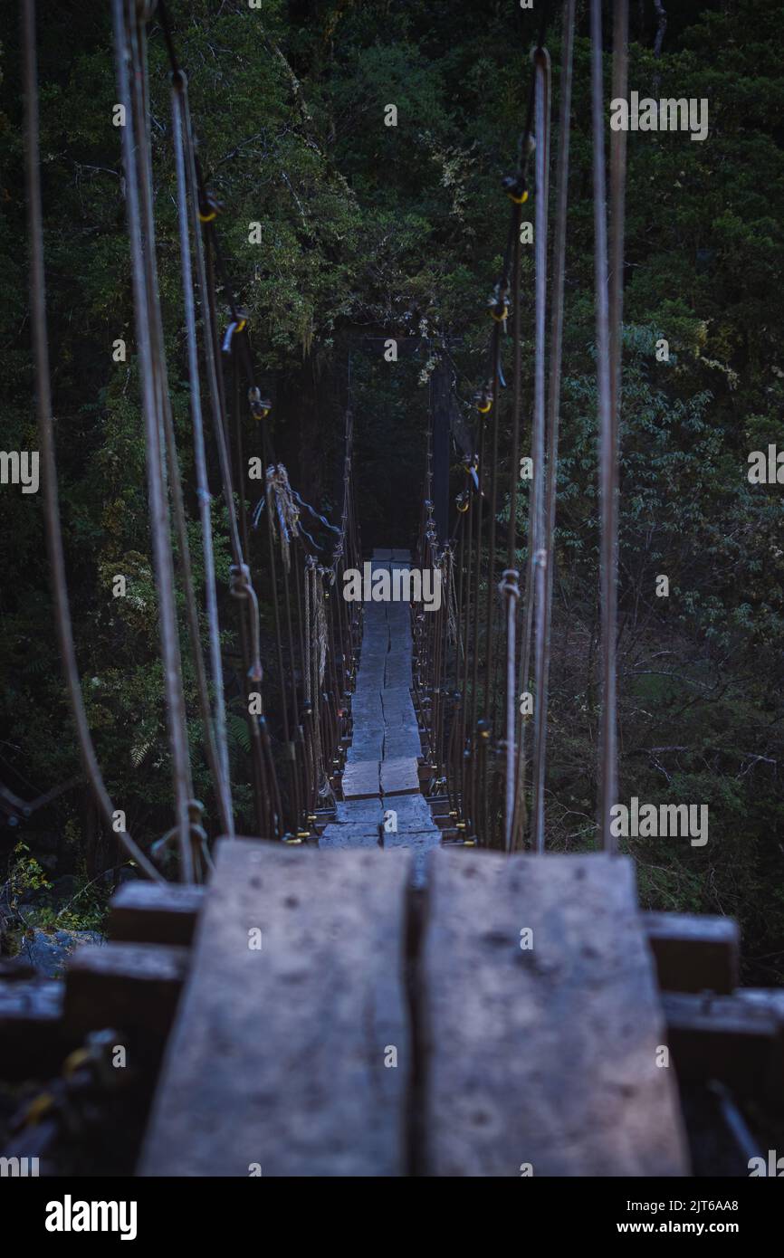 An old suspension bridge in the middle of the forest Stock Photo - Alamy