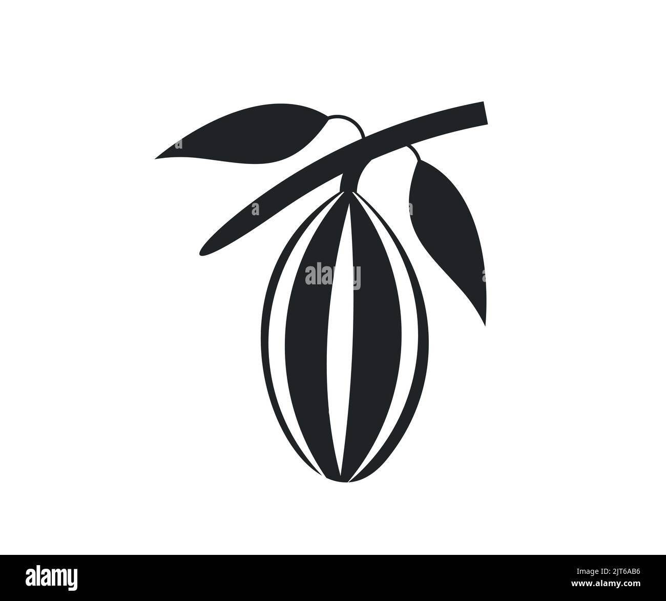 Cocoa branch logo design. Various of Fresh cocoa fruits with half ...