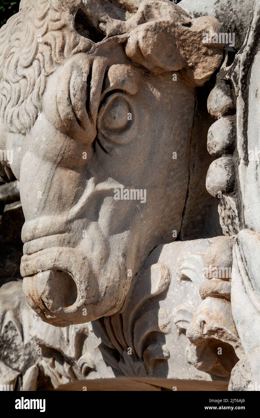 The stones-carved from Didyma, an ancient Greek sanctuary on the coast ...