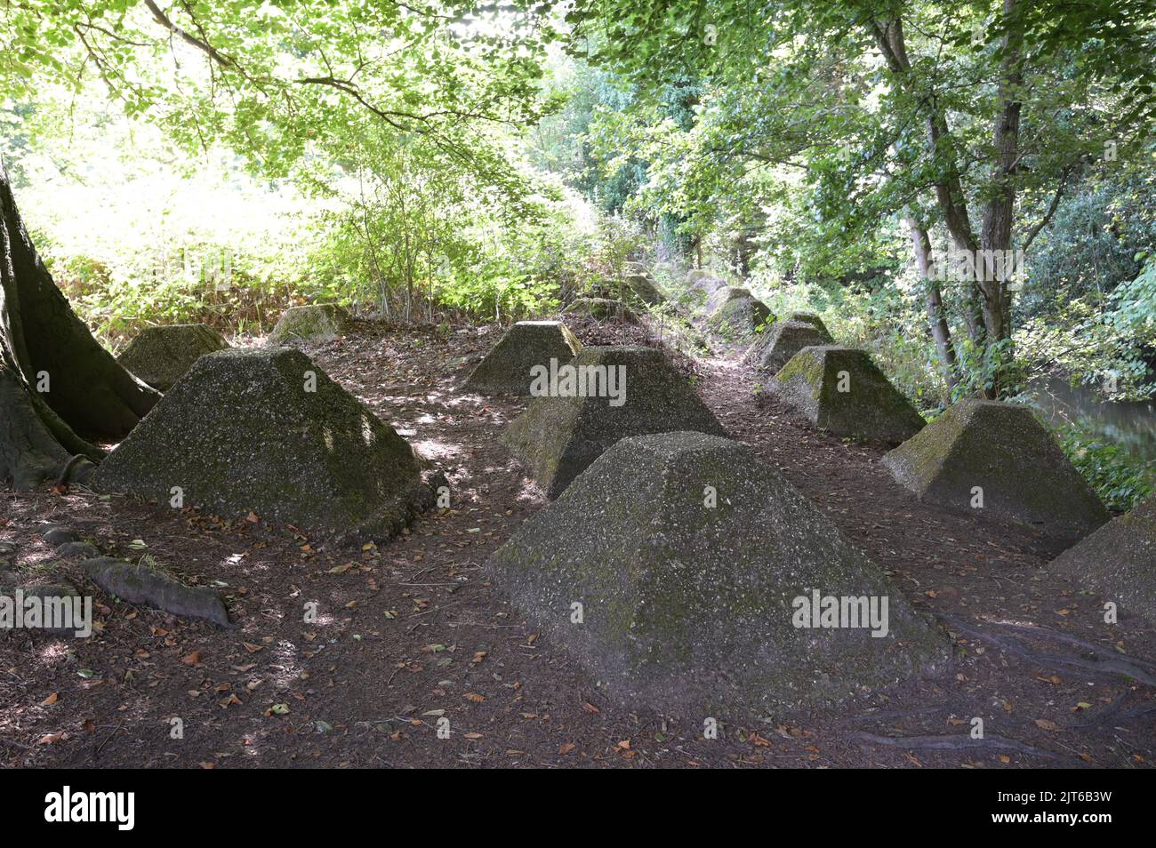 World War Two tank traps in Surrey, England Stock Photo - Alamy