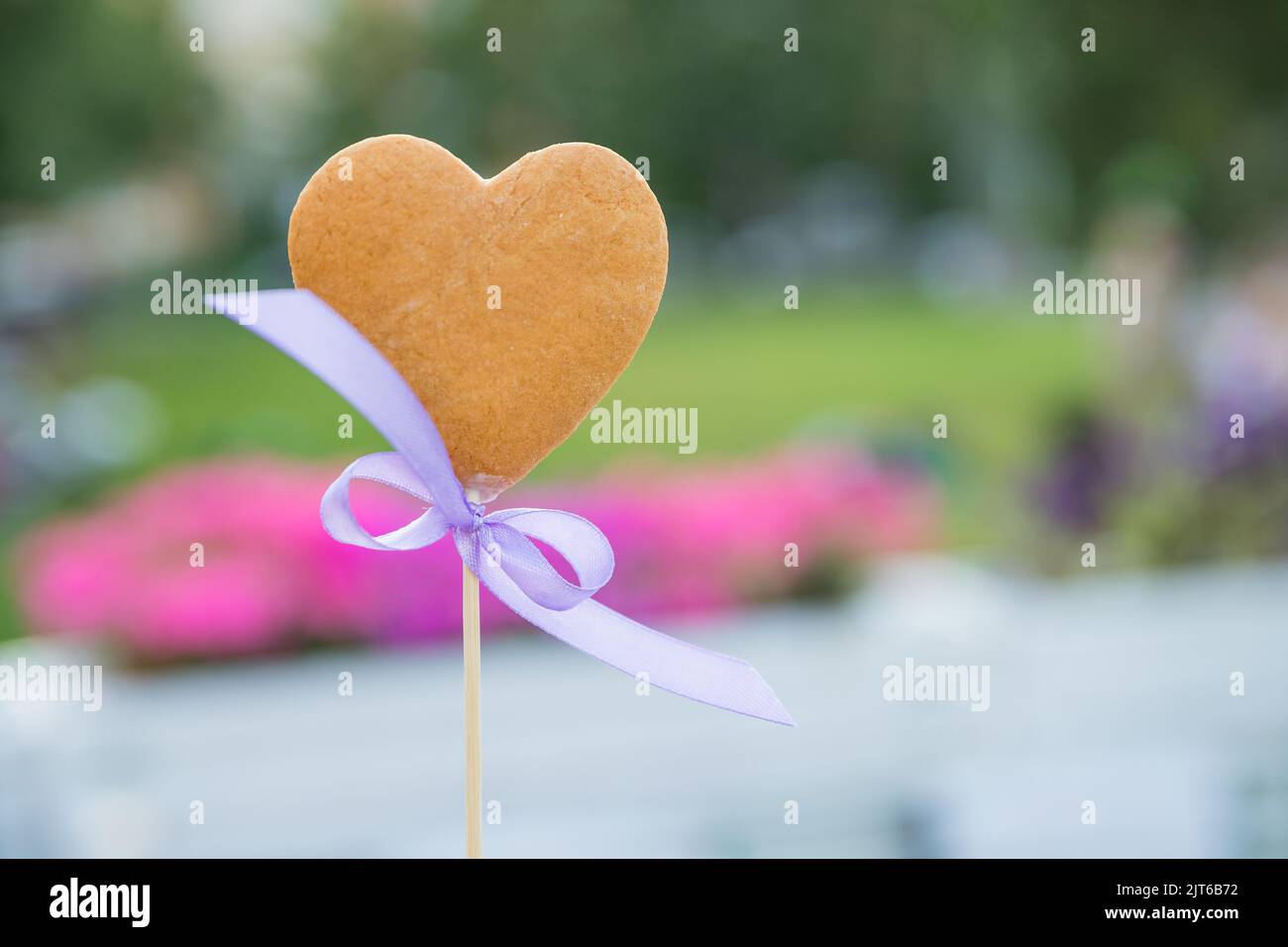 Eskimo cake. Ice cream sweet eskimo with pink chocolate icing ...