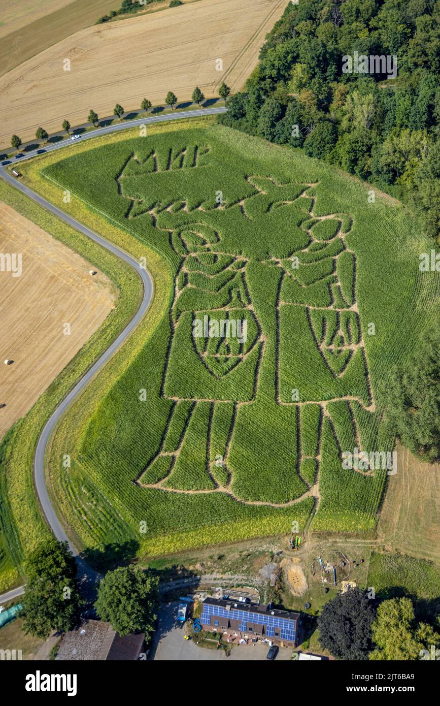 Aerial view of the corn maze on the field of farmer Benedikt Lünemann ...