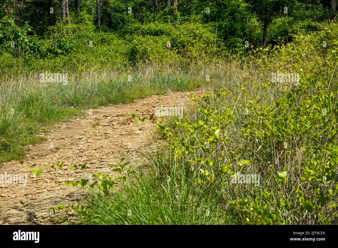 Serpantine rock trail hi-res stock photography and images - Alamy