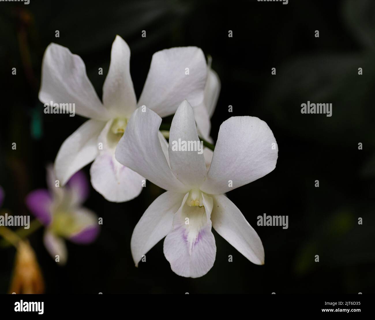 my pictures of everuthing and anything..all over the world Stock Photo ...