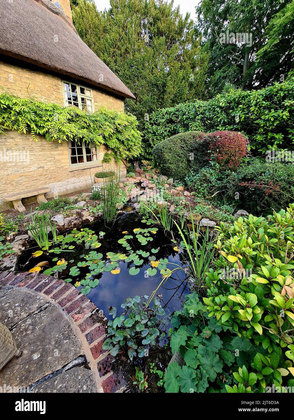 Thatched cottage wisteria hi-res stock photography and images - Alamy