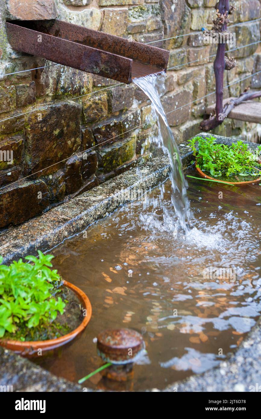 Rustic water feature in the Fruit and Vegetable Garden, RHS Rosemoor ...