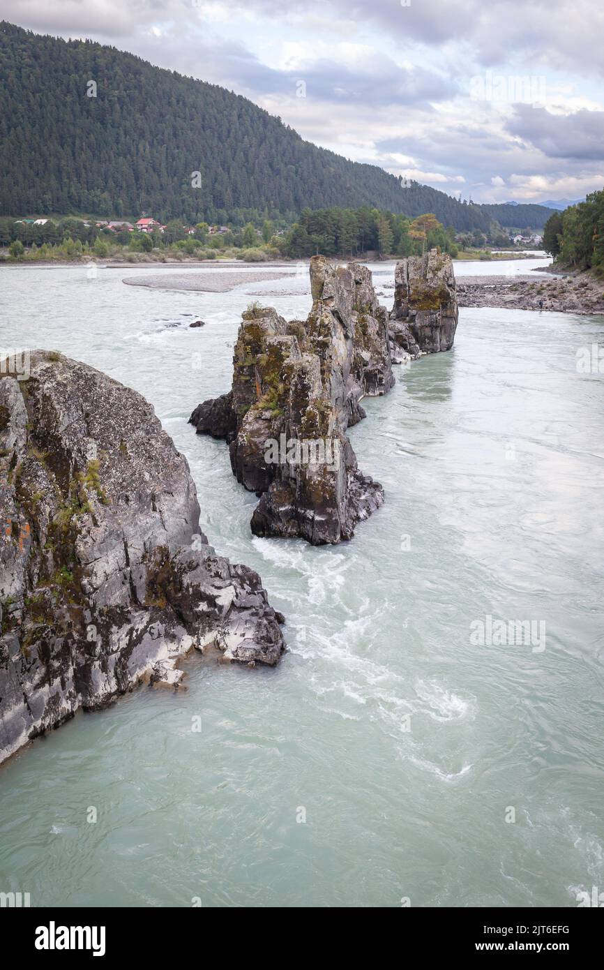 A fast-flowing wide and full-flowing mountain river. Large rocks stick ...