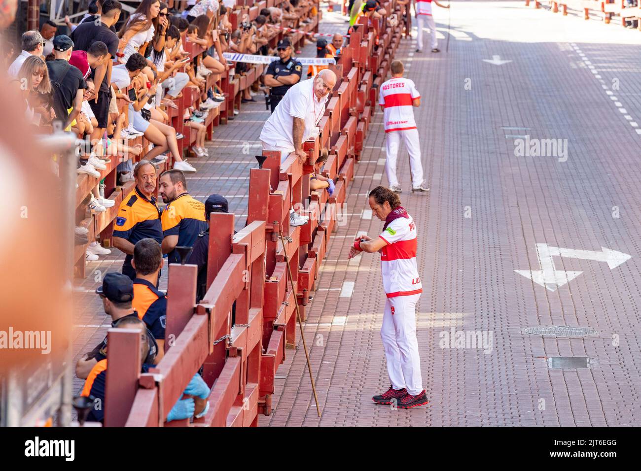 Running of the bulls. Bulls. Bull runs. San Fermines. Encierro that is ...