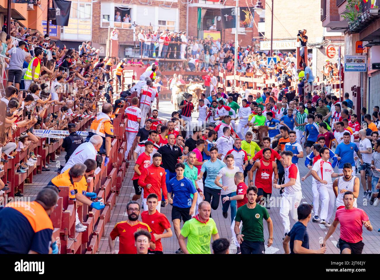 Running of the bulls. Bulls. Bull runs. San Fermines. Encierro that is ...