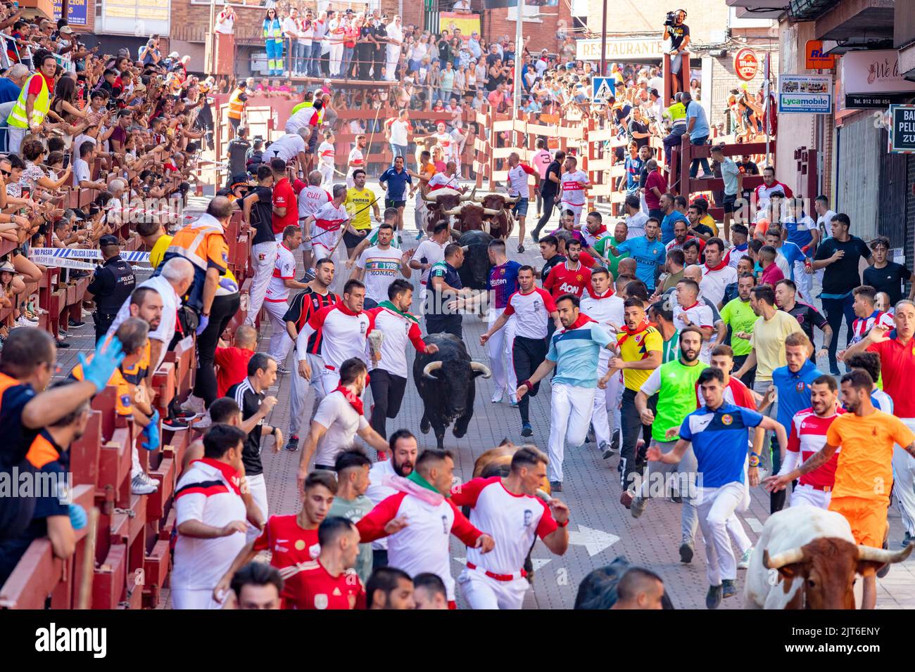 Running of the bulls. Bulls. Bull runs. San Fermines. Encierro that is ...