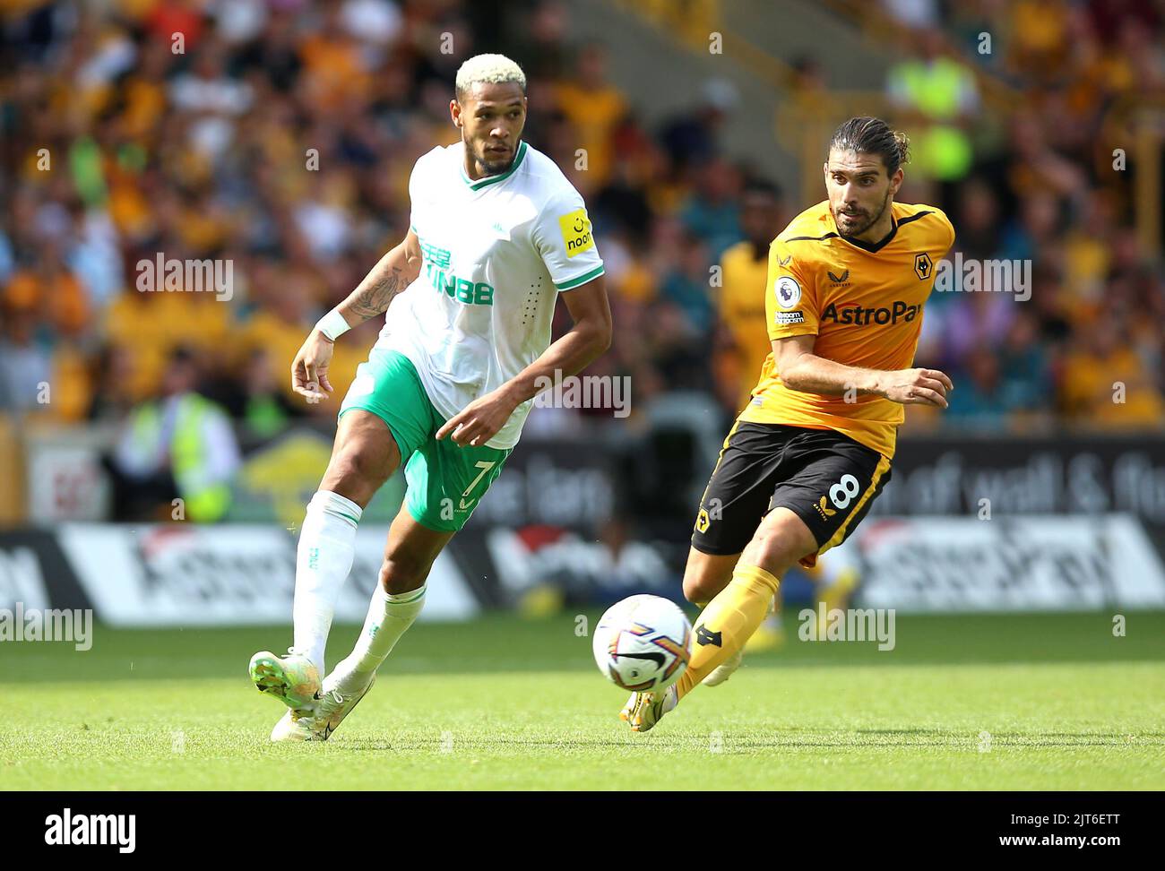 Ruben neves august 2022 hi-res stock photography and images - Alamy