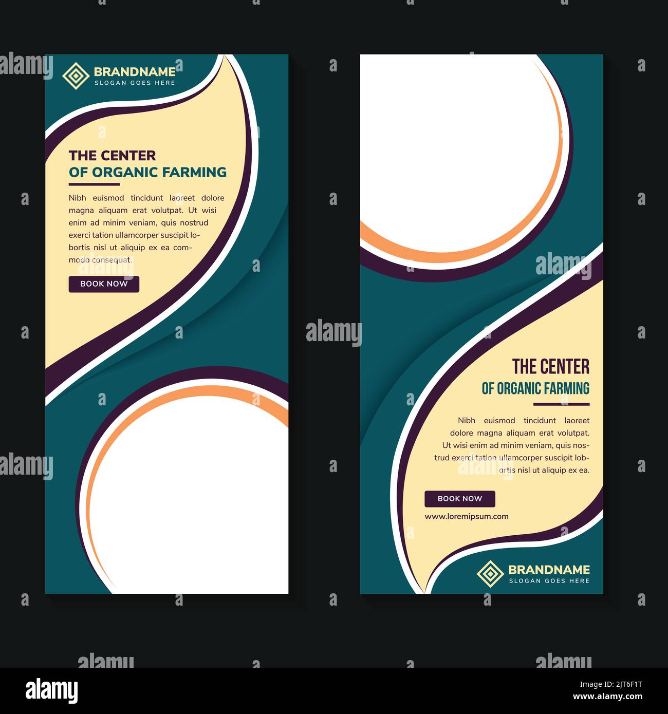 Vertical raw organic set Stock Vector Images - Alamy