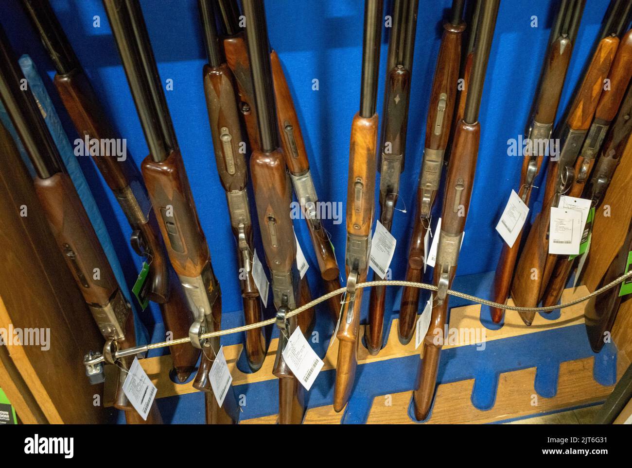 A rack of 12-bore shotguns for sale in the shop at Southdown Gun Club ...