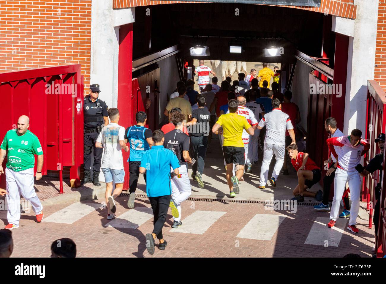 Running of the bulls. Bulls. Bull runs. San Fermines. Encierro that is ...