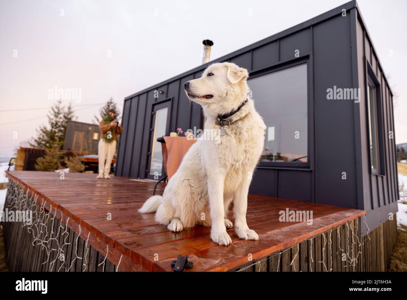 Woman with her dog resting on terrace of tiny house on nature Stock ...