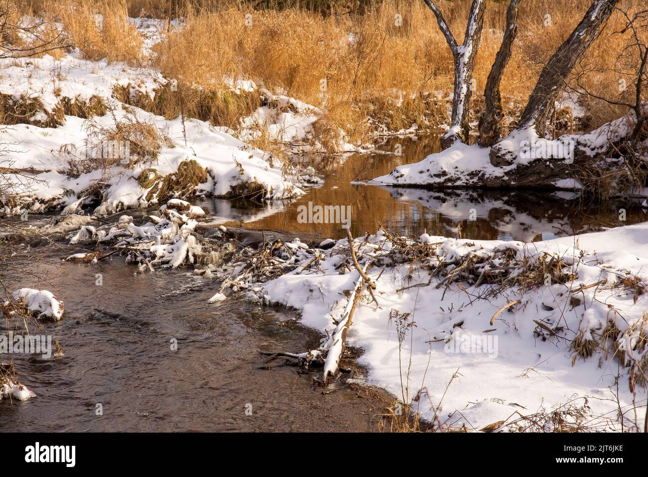 nature at work Stock Photo - Alamy