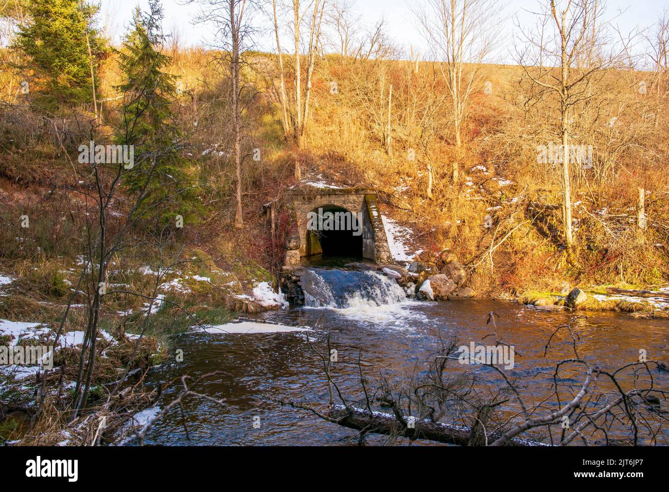 nature at work Stock Photo - Alamy