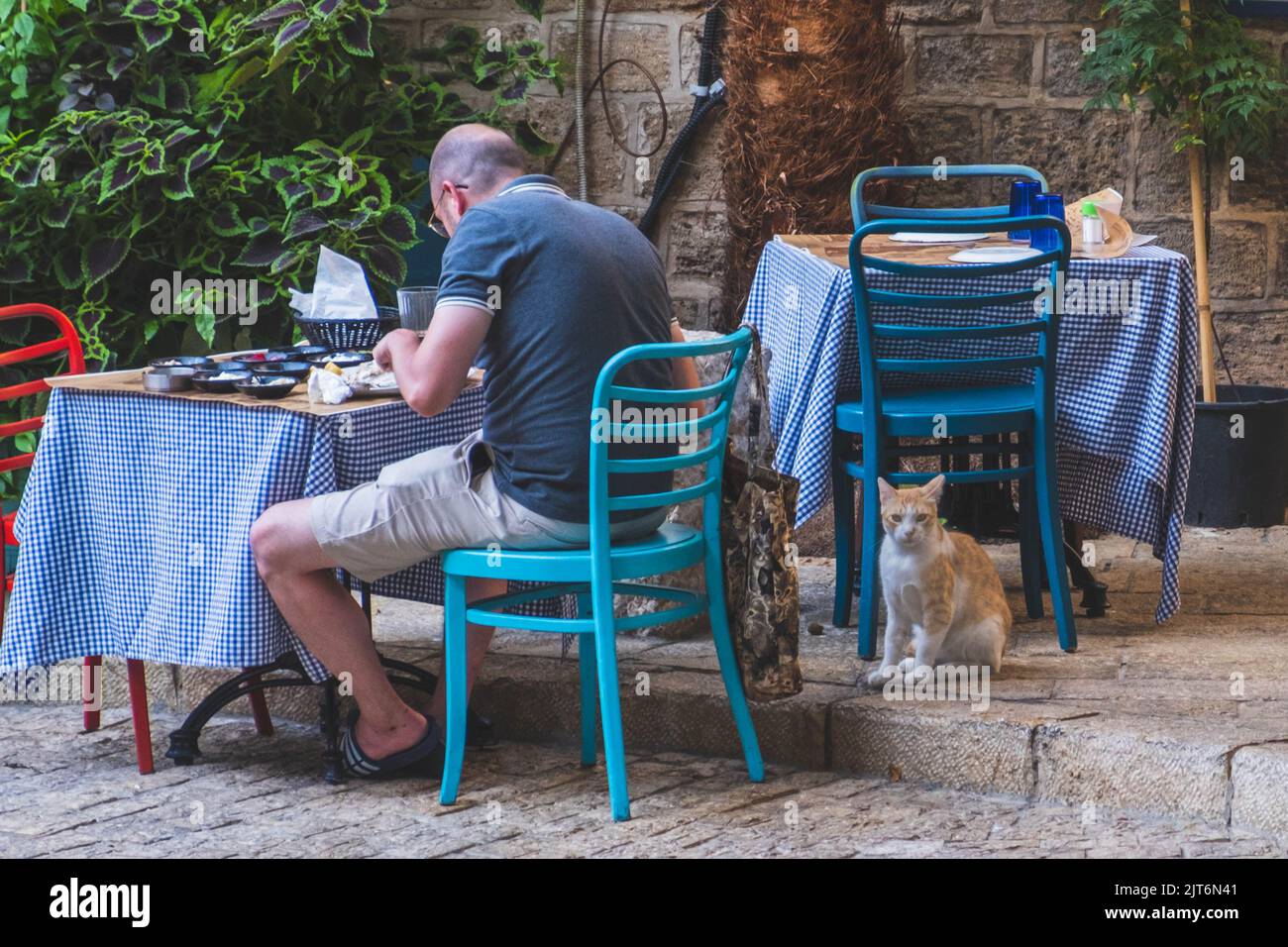 Scene restaurant owner looking hi-res stock photography and images - Alamy