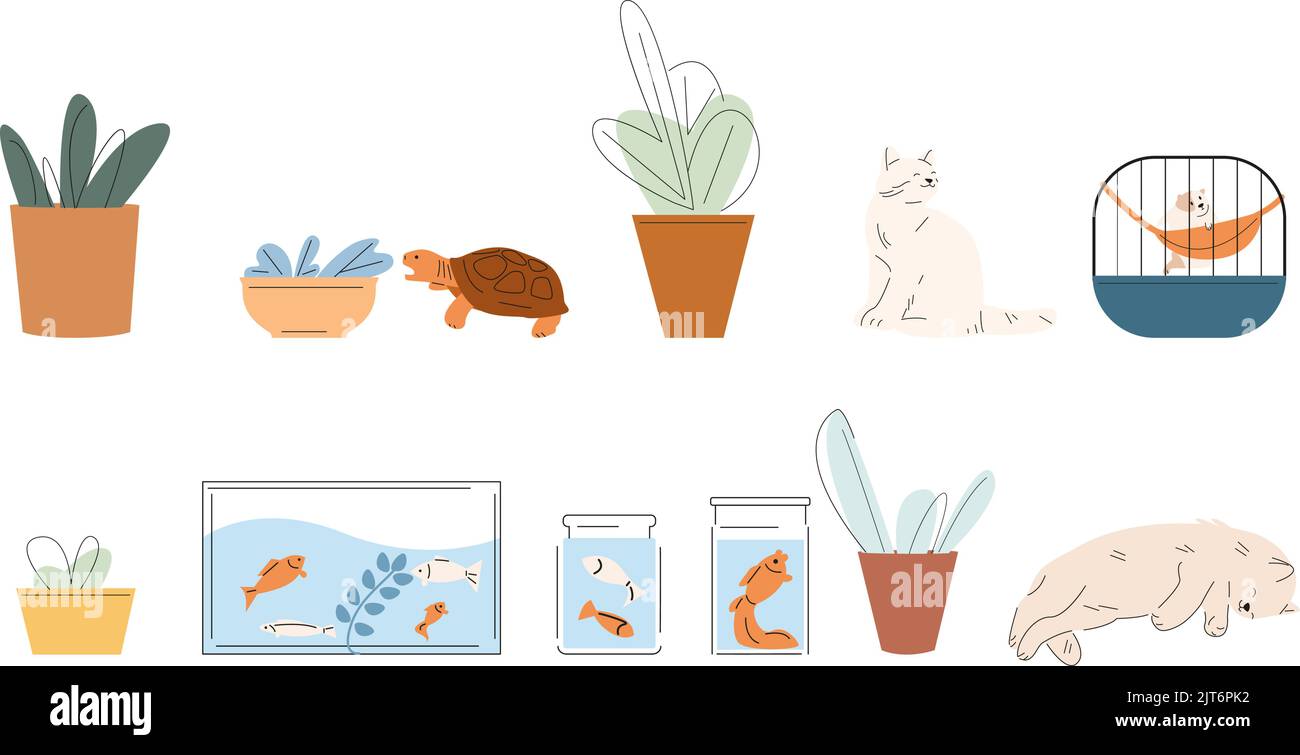 Animals and plants in pots. Home cozy elements, cats, fish in aquarium ...