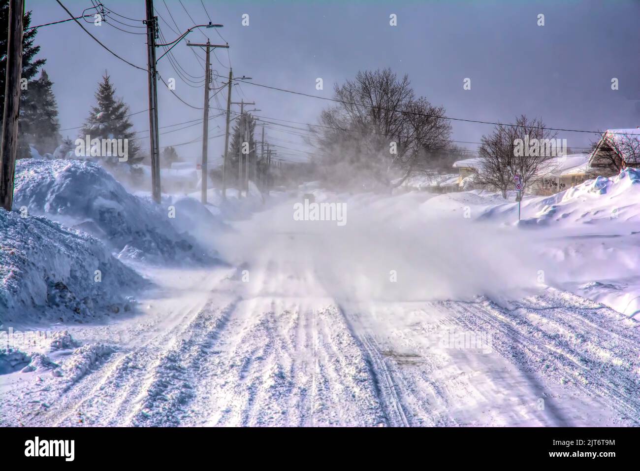 nature at work Stock Photo - Alamy