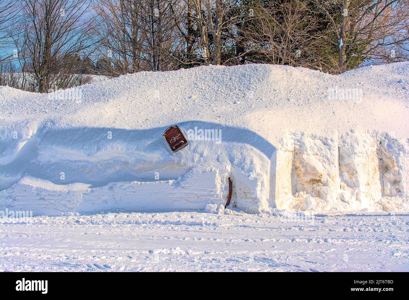 nature at work Stock Photo - Alamy