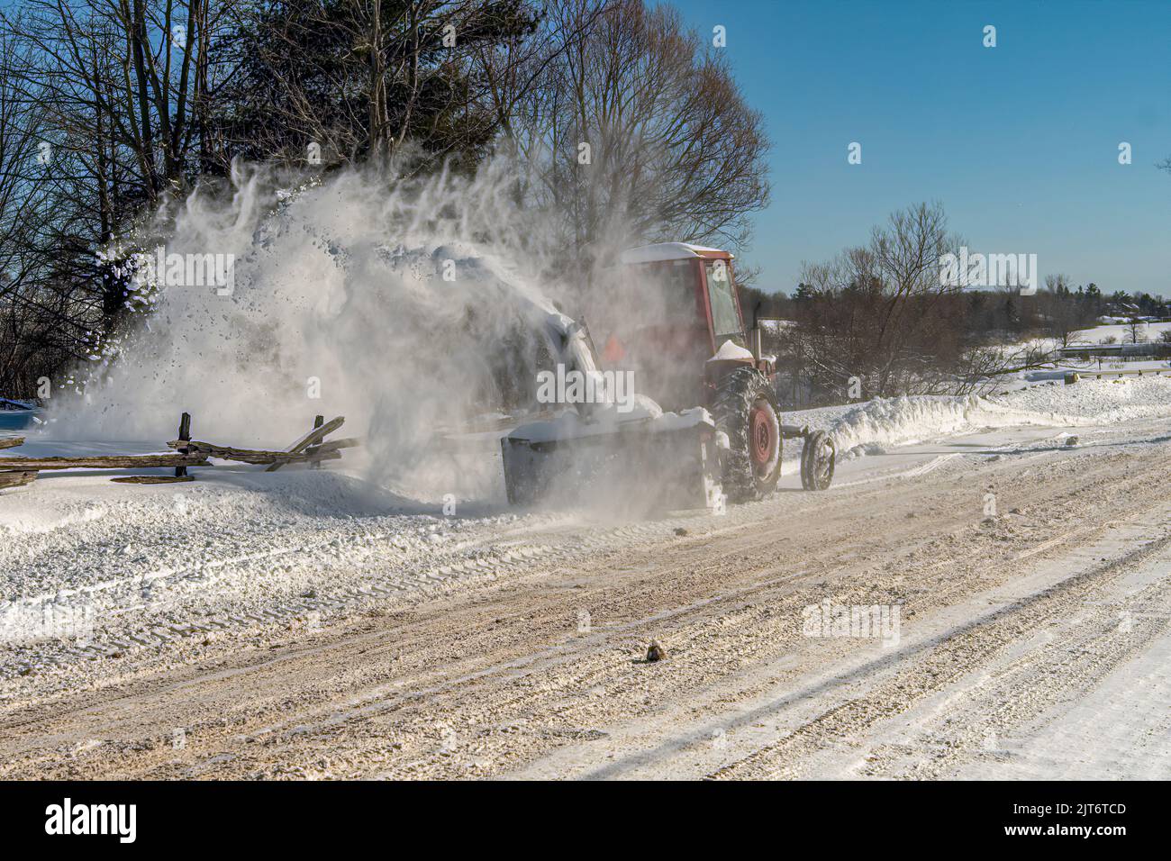 nature at work Stock Photo - Alamy