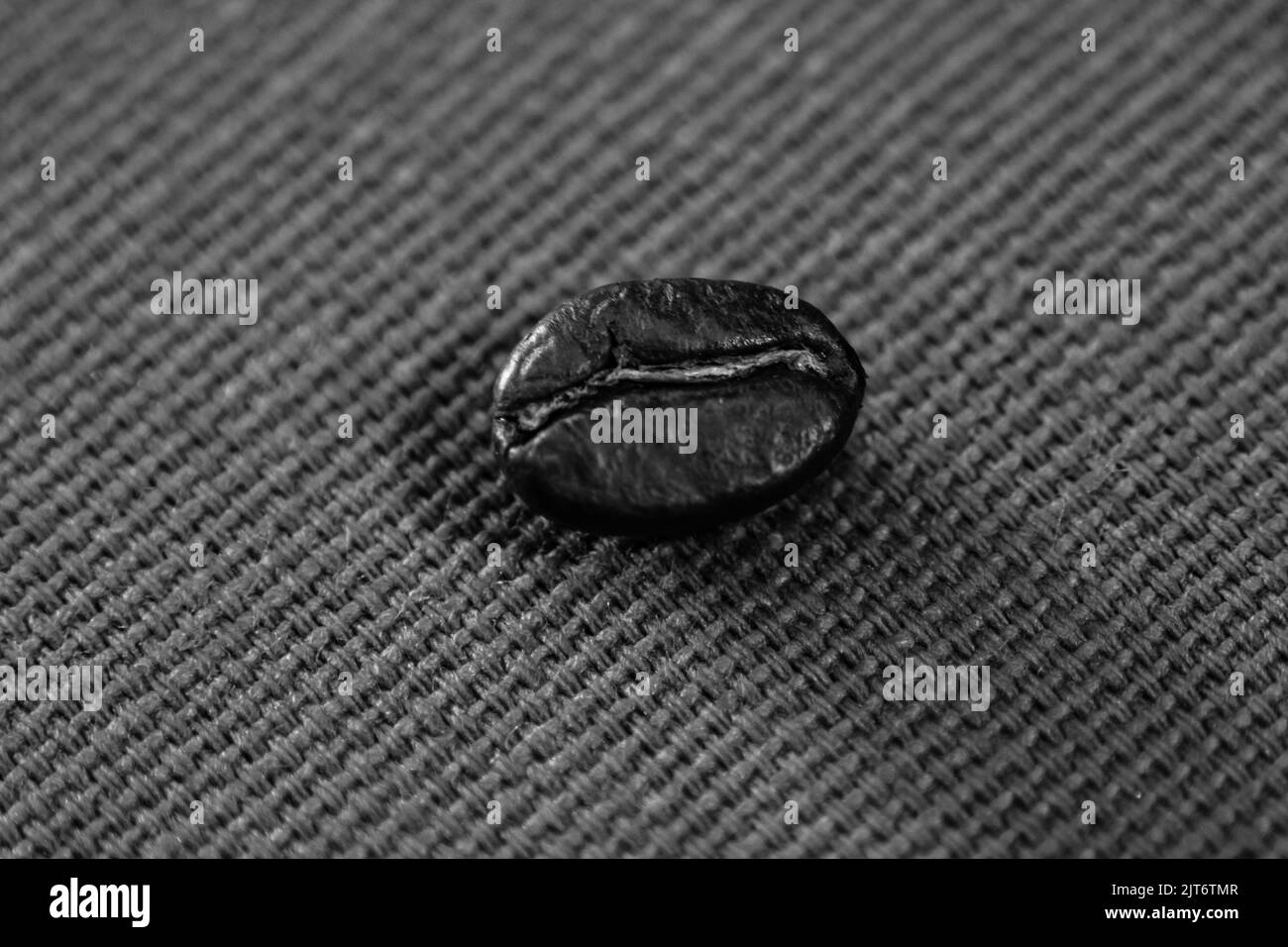 A grayscale closeup of a roasted coffee bean Stock Photo - Alamy