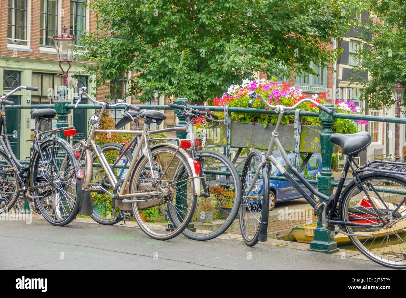 Netherlands. Summer day in Amsterdam. Many bicycles and flowers near ...