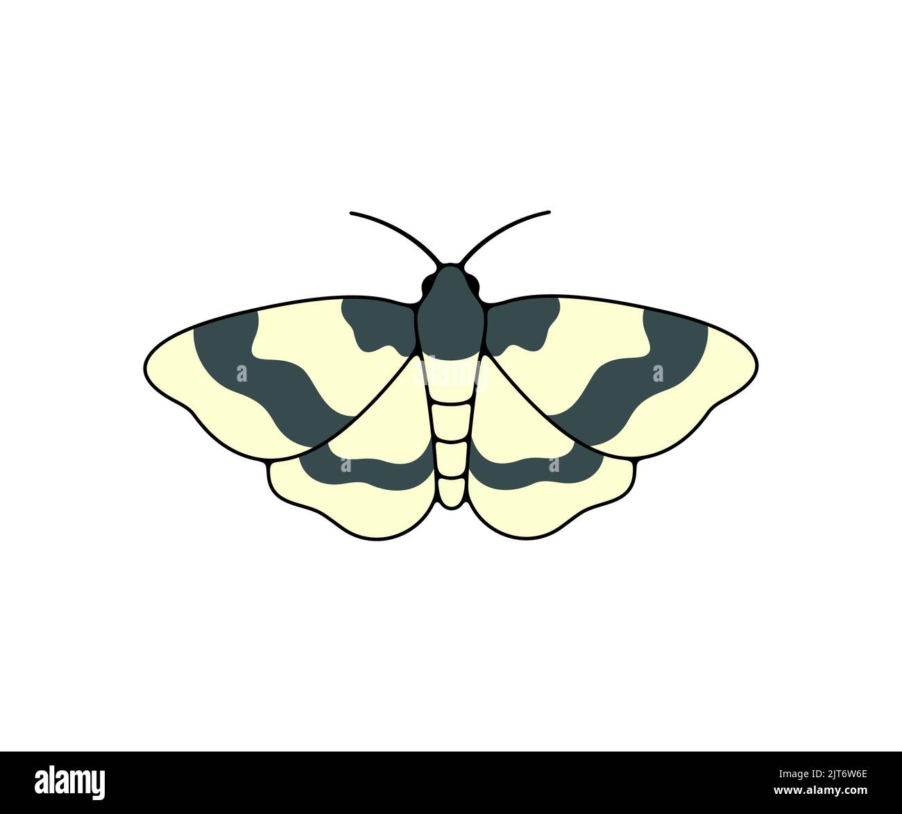 Striped nocturnal moth, butterfly and moth, logo design. Flying insects ...