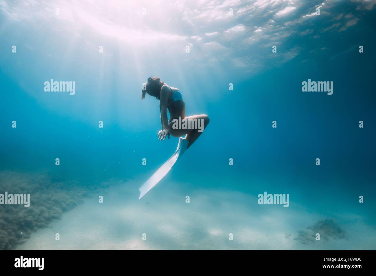 Lady free diver in bikini posing underwater in blue ocean Stock Photo ...