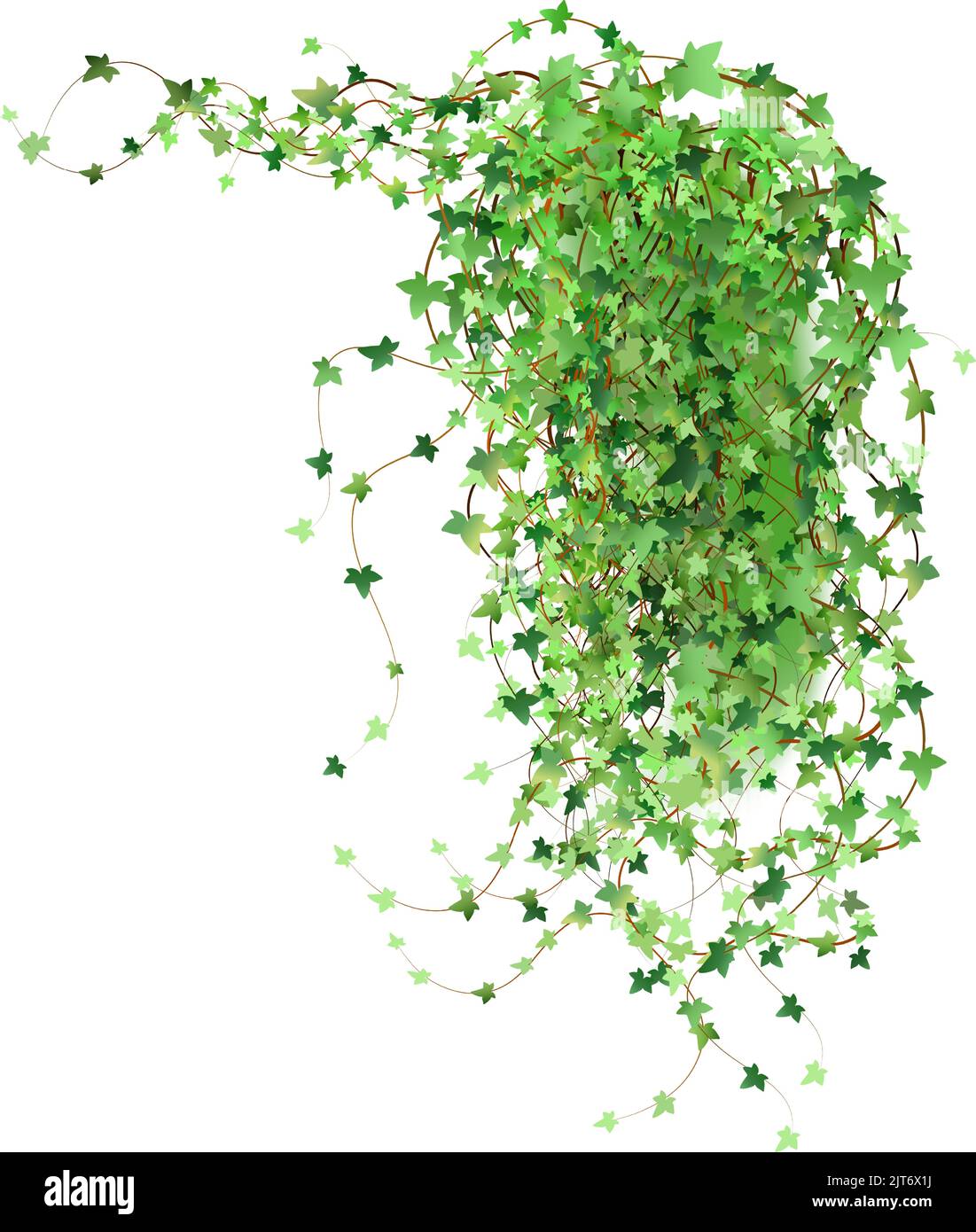 Ivy texture green wall Stock Vector Images - Alamy