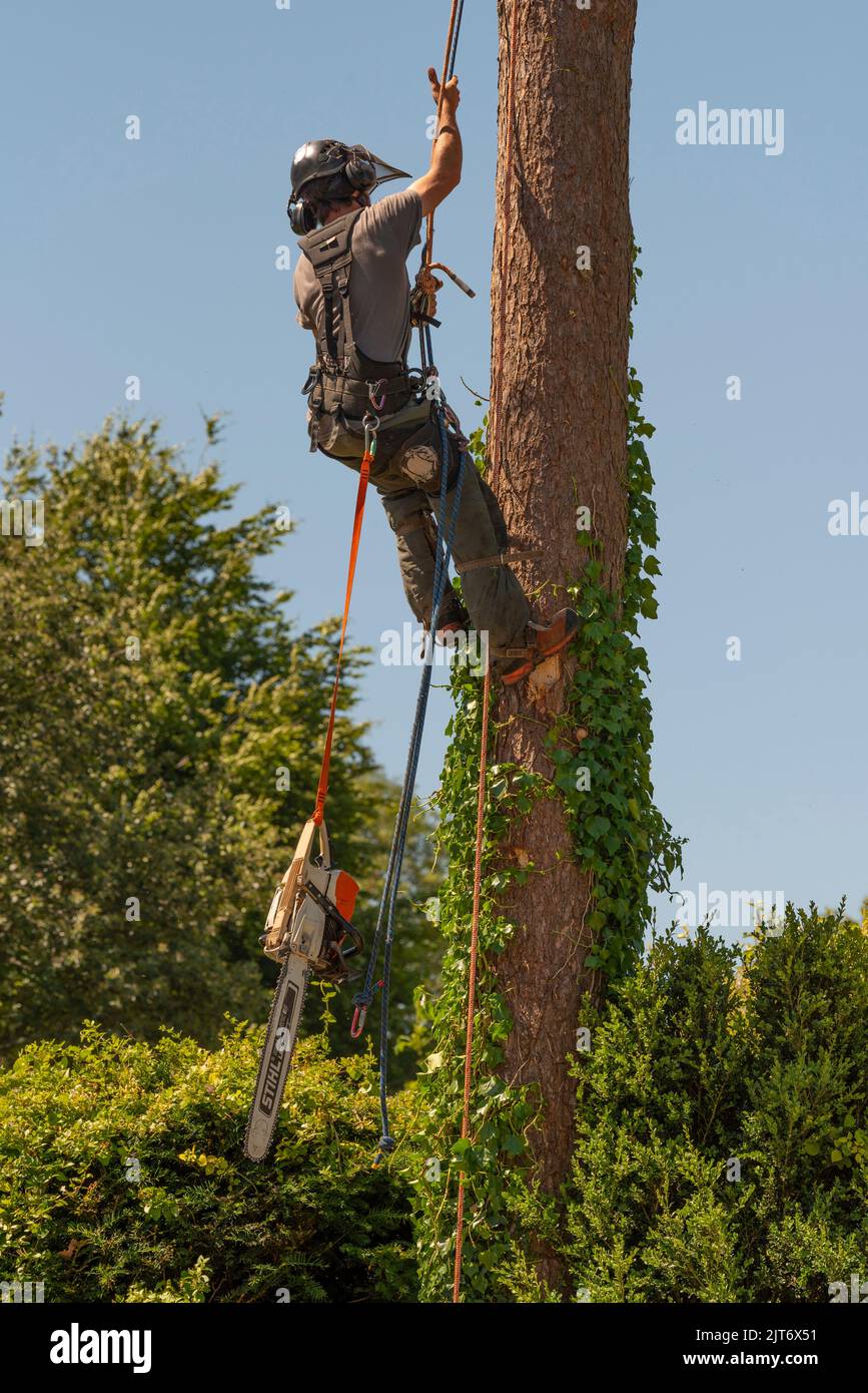 Hampshire, England, UK. 2022. Man using a rope to assist in climbing a ...