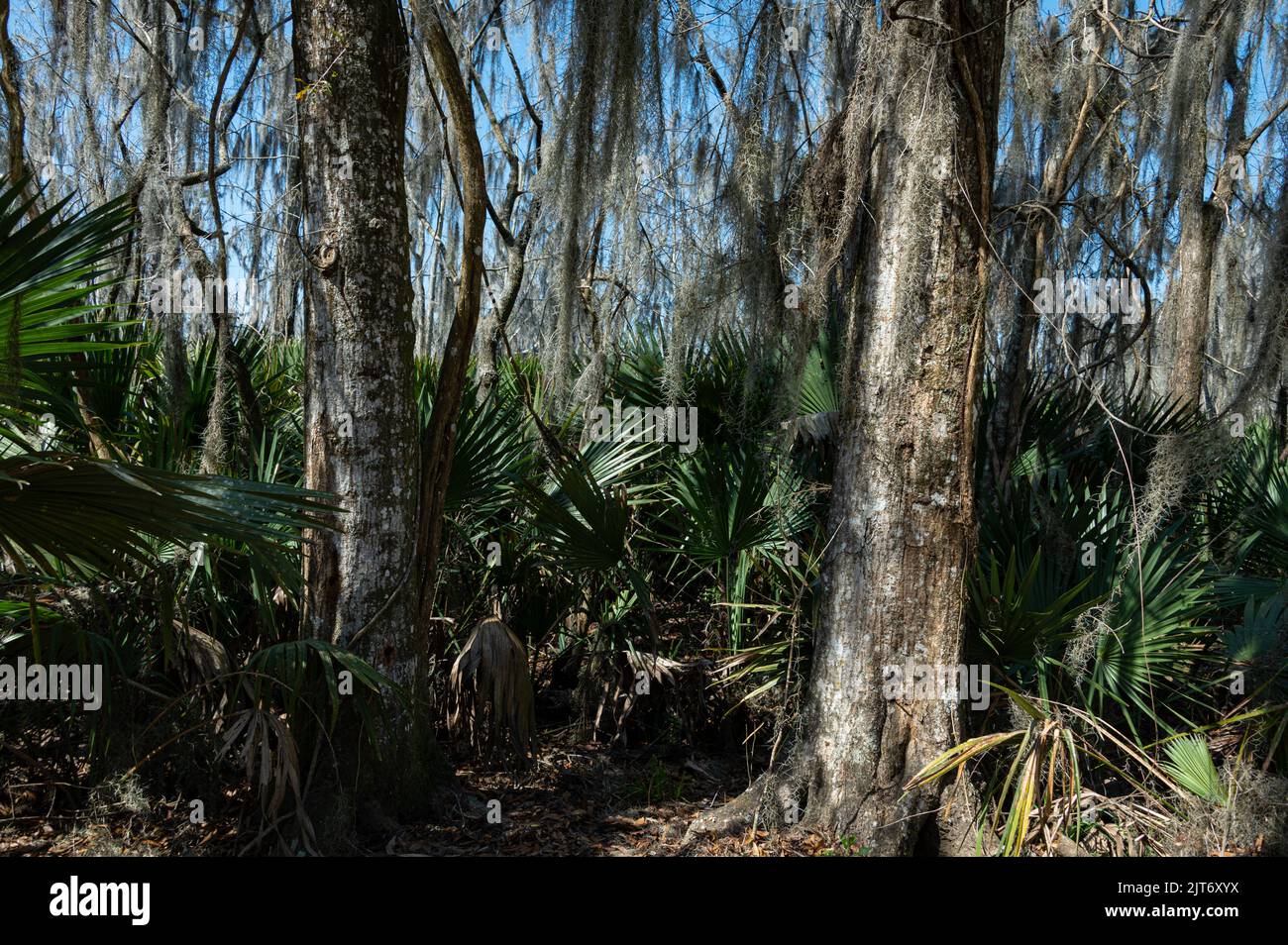 Mandalay National Wildlife Refuge has several different types of areas ...