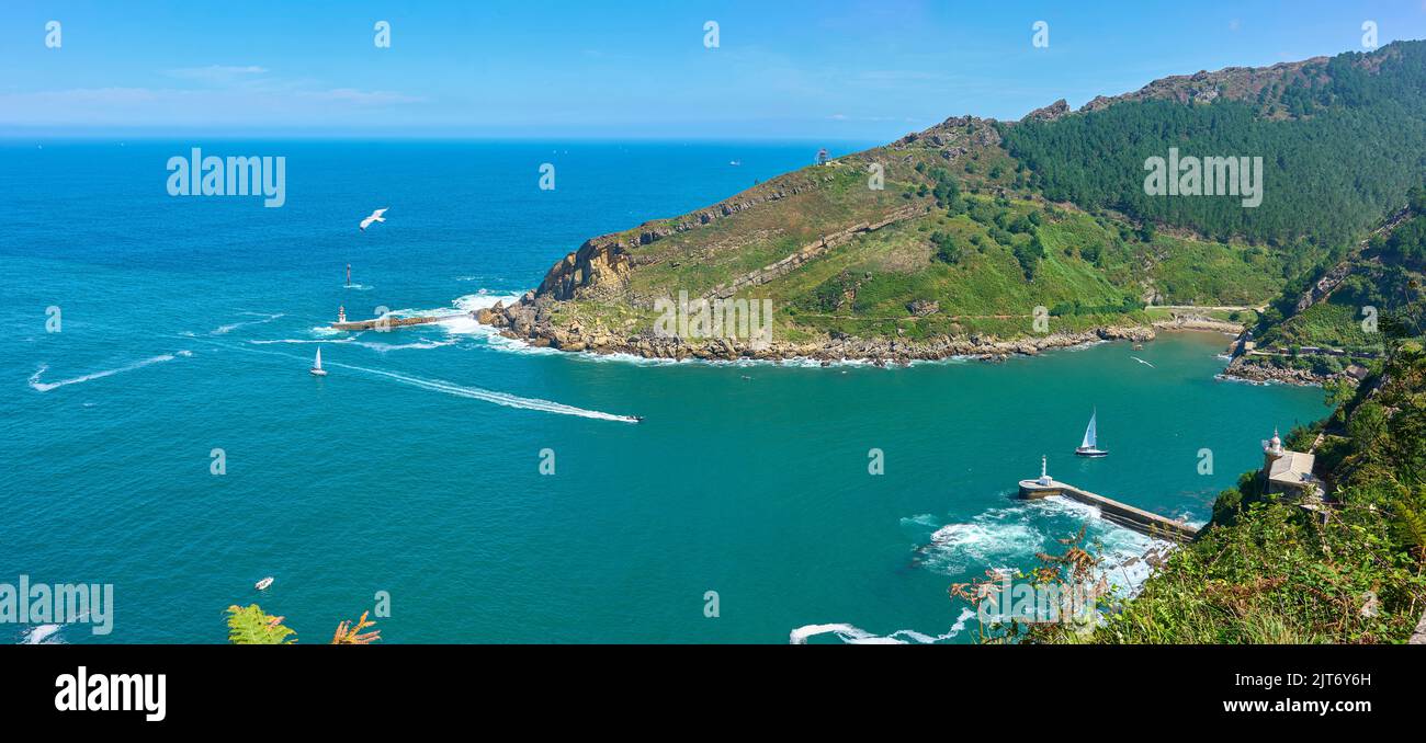 Puntas de san pedro hi-res stock photography and images - Alamy