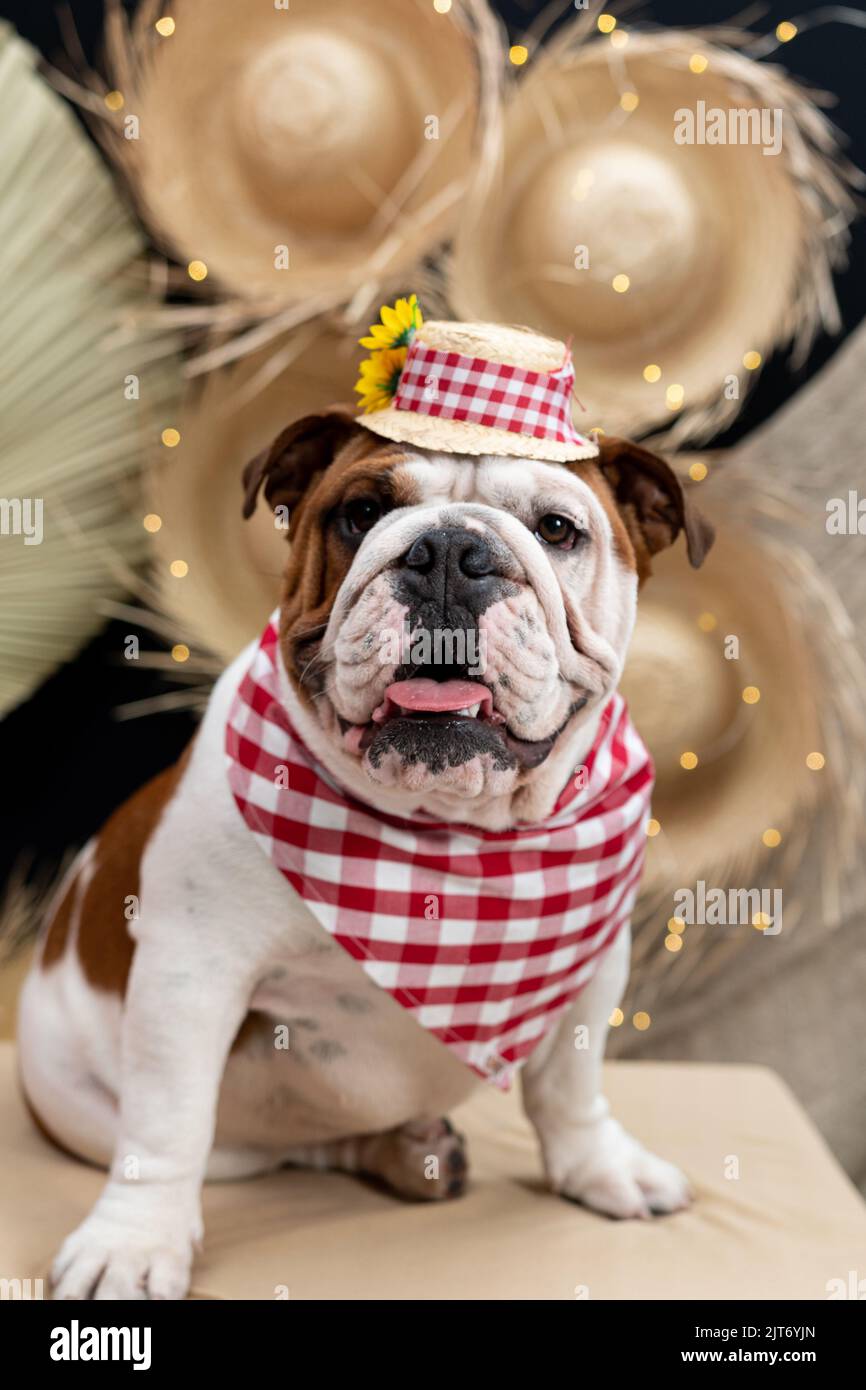 Redneck costume hi-res stock photography and images - Alamy