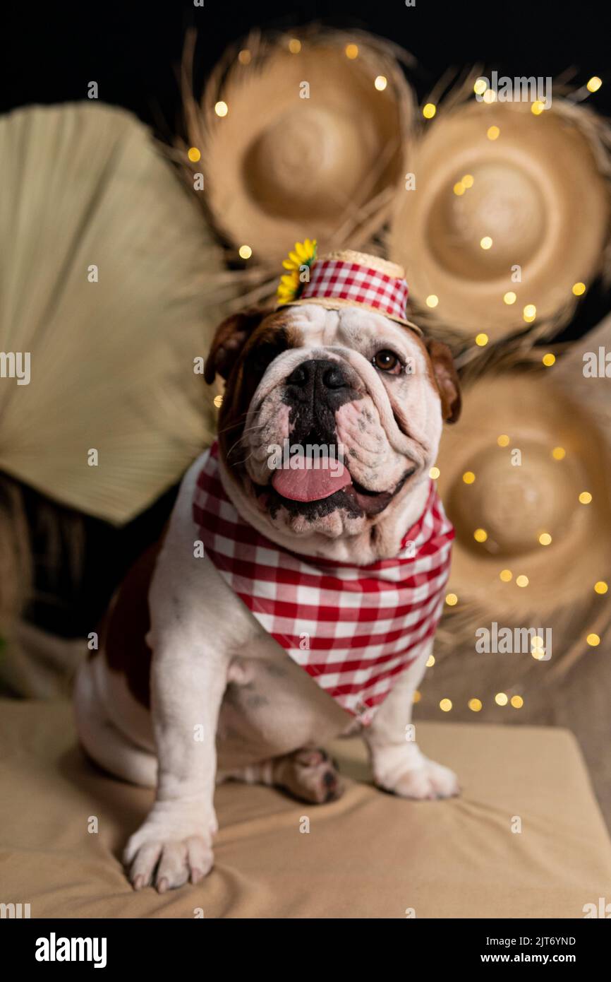 Redneck costume hi-res stock photography and images - Alamy