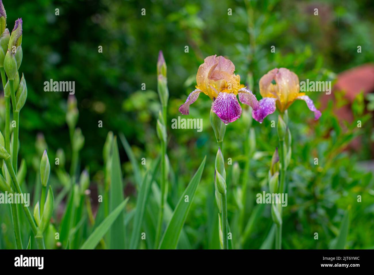 Development and change hi-res stock photography and images - Alamy