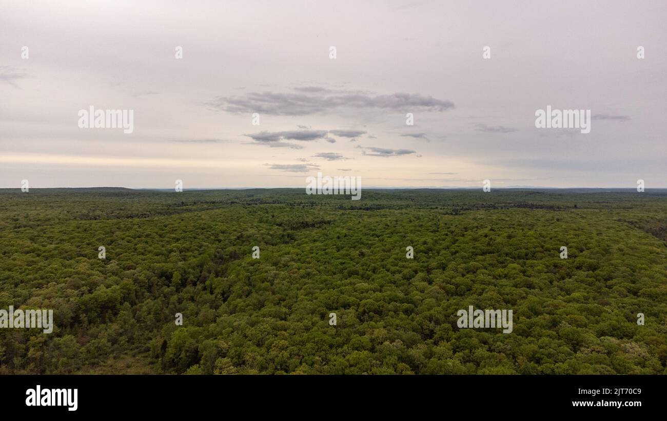 An aerial view of forest with dense trees during sunset Stock Photo - Alamy
