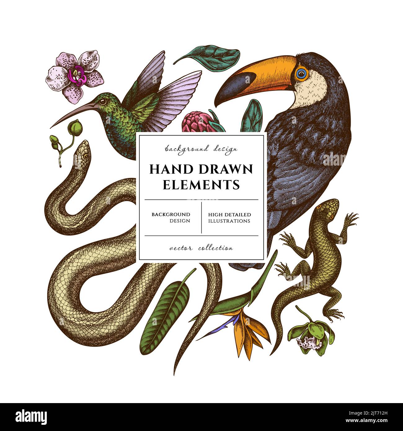 Tropical animals square card or invitation design. Frame design with ...