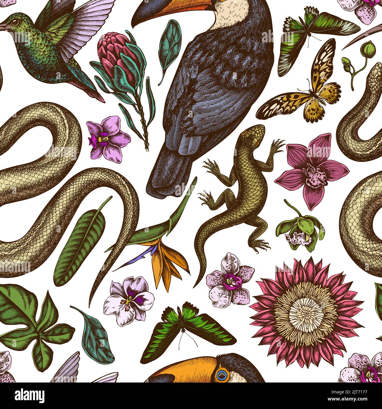 Tropical animals seamless pattern background design. Engraved style ...