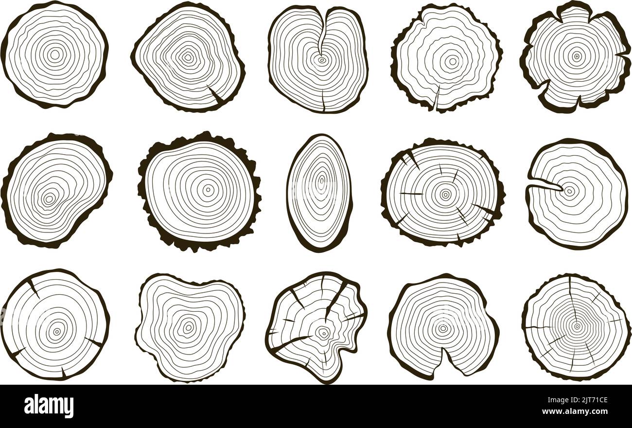 Wood trunk rings, circular stump wooden texture top view. Tree age ring ...