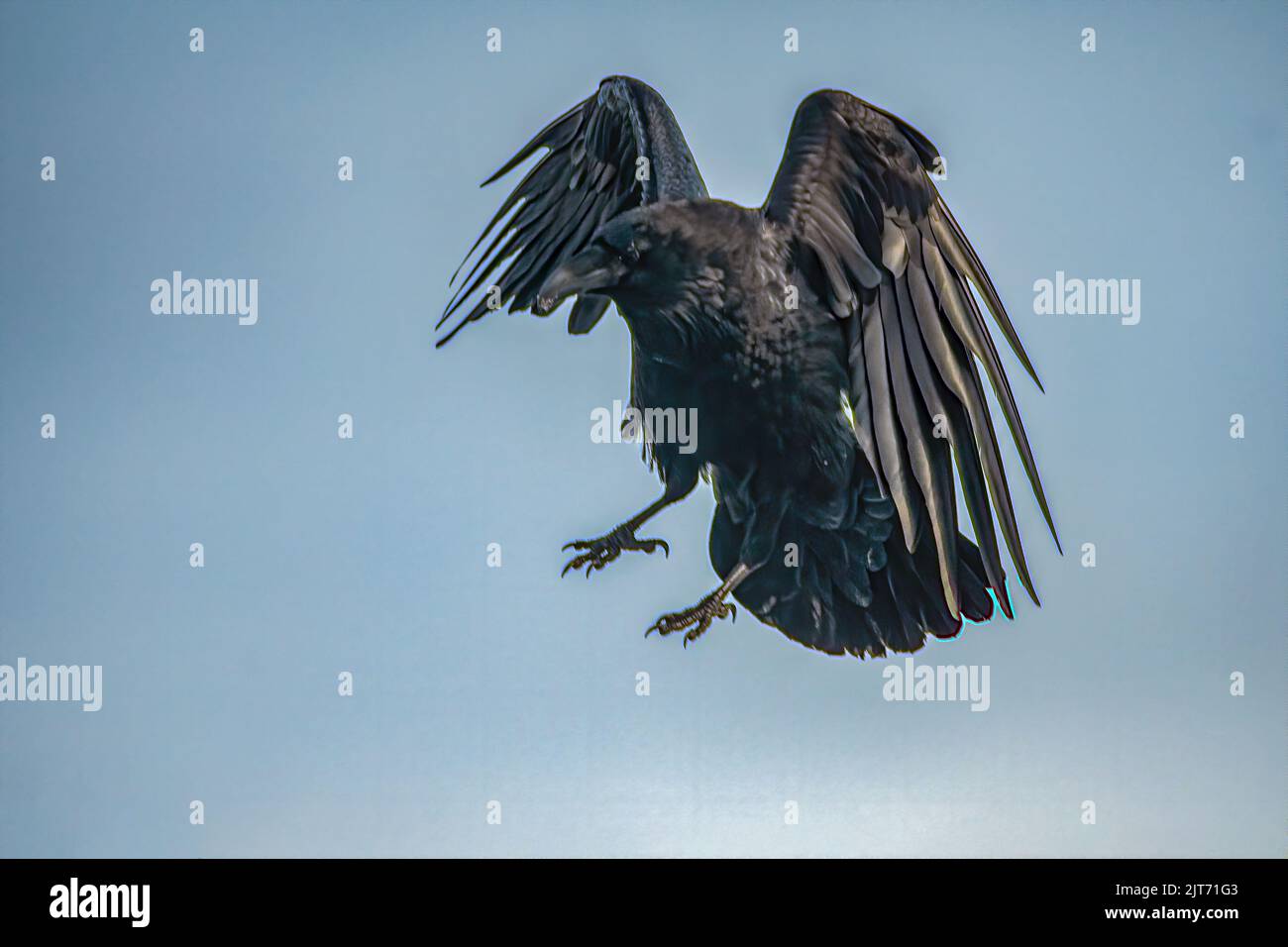 nature at work Stock Photo - Alamy